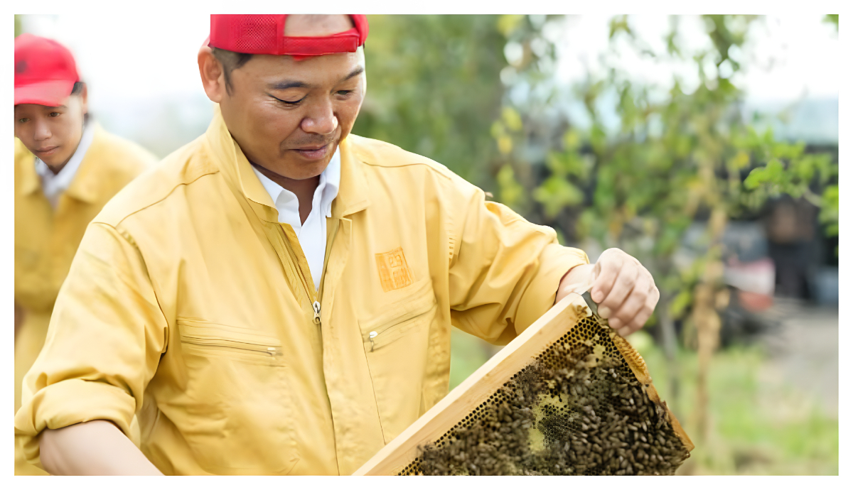 Chitoshi Nishioka Success Story: Sustainable Honey Production | UPL Heroes